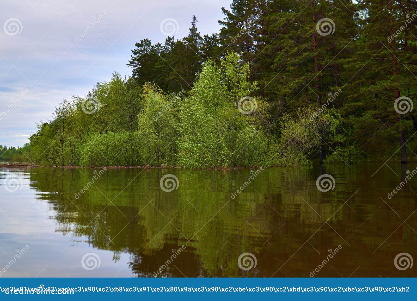 Floodplain Flooded during Spring High Water Stock Photo - Image of ...