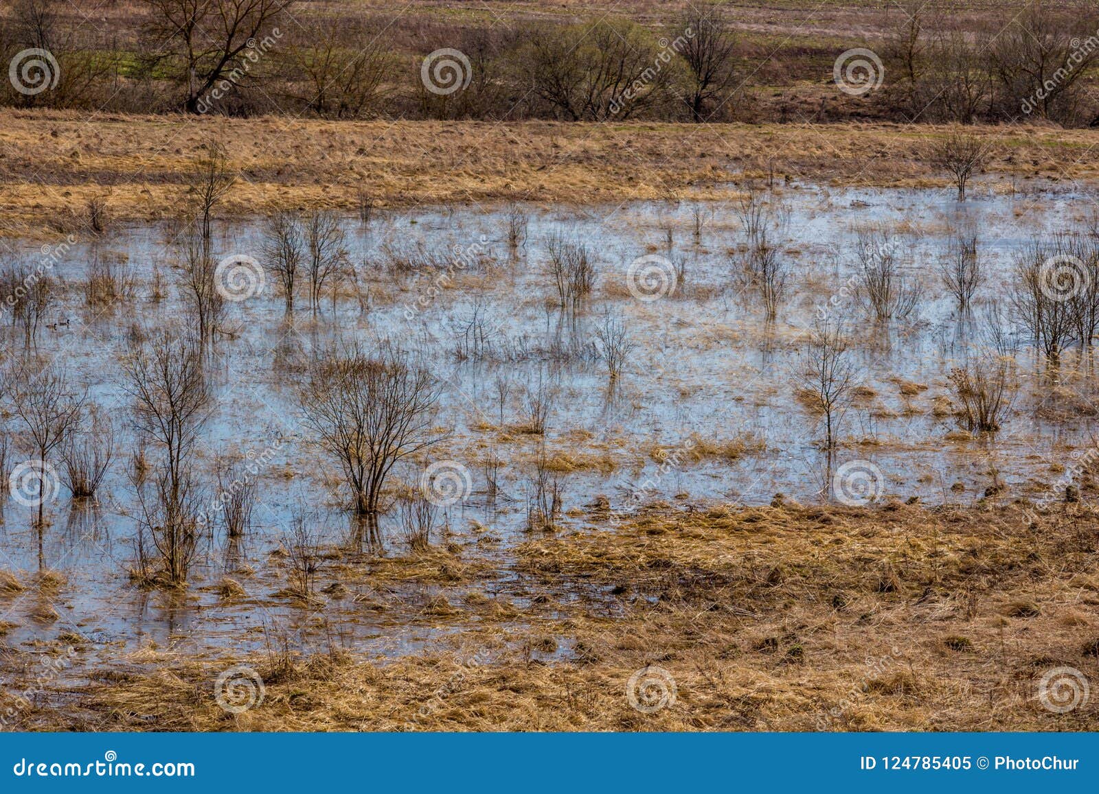 The Floodplain Flooded with Water Stock Image - Image of view ...