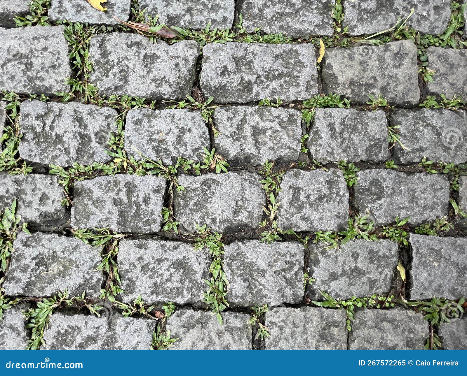Ancient Rectangular Embrasure With Semicircular Arch In Fortification ...