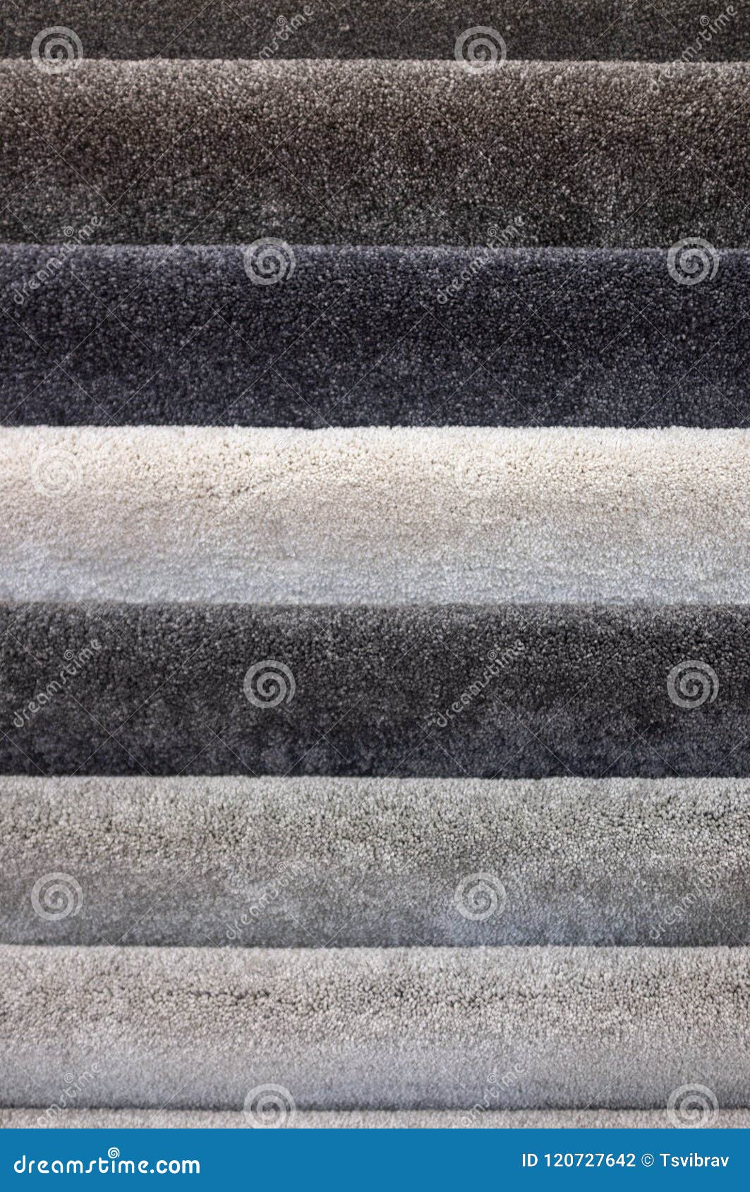 Floor Carpets Collection Samples. Stock Photo - Image of natural ...