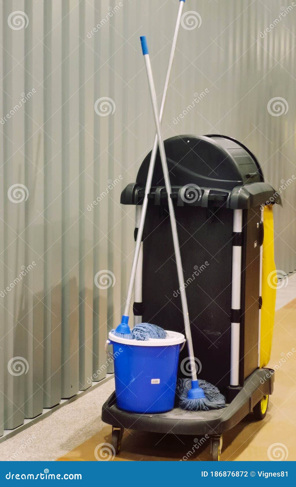 Floor cleaning tools stock photo. Image of hygiene, floor - 186876872