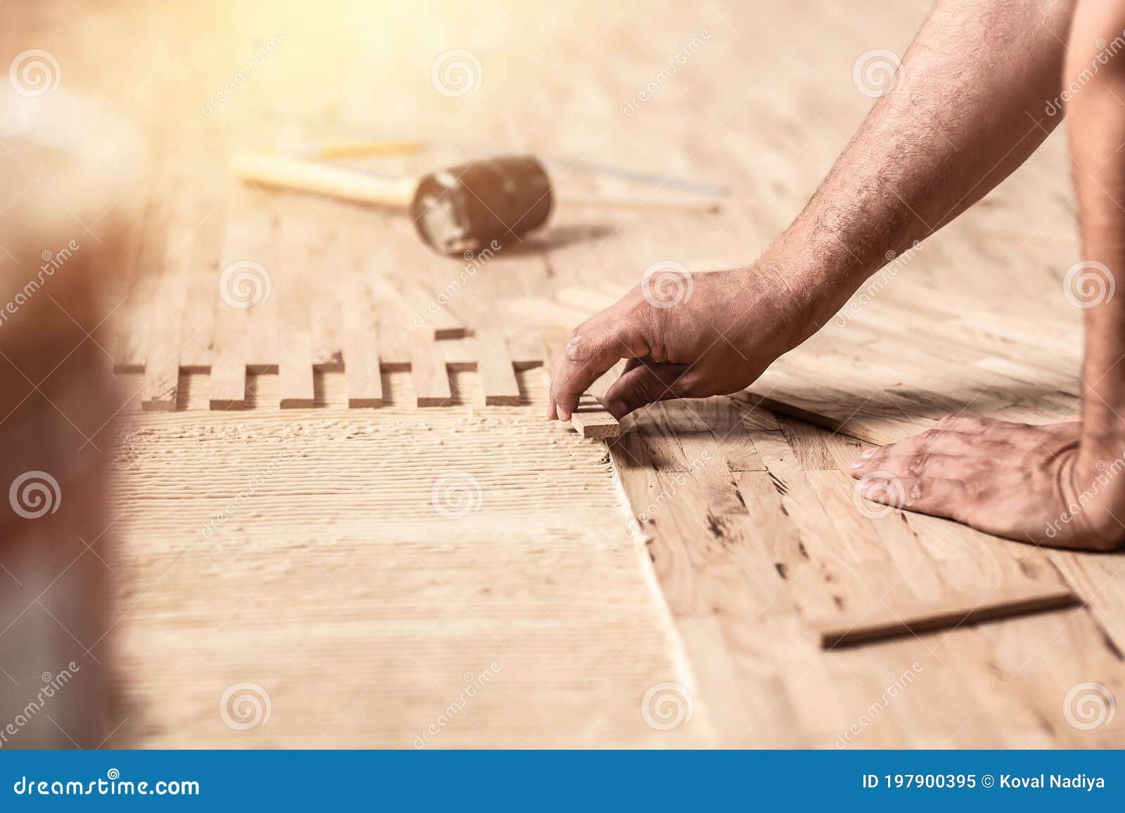 Floor Construction, Installing Wood Parquet Pieces. Installation of Oak ...