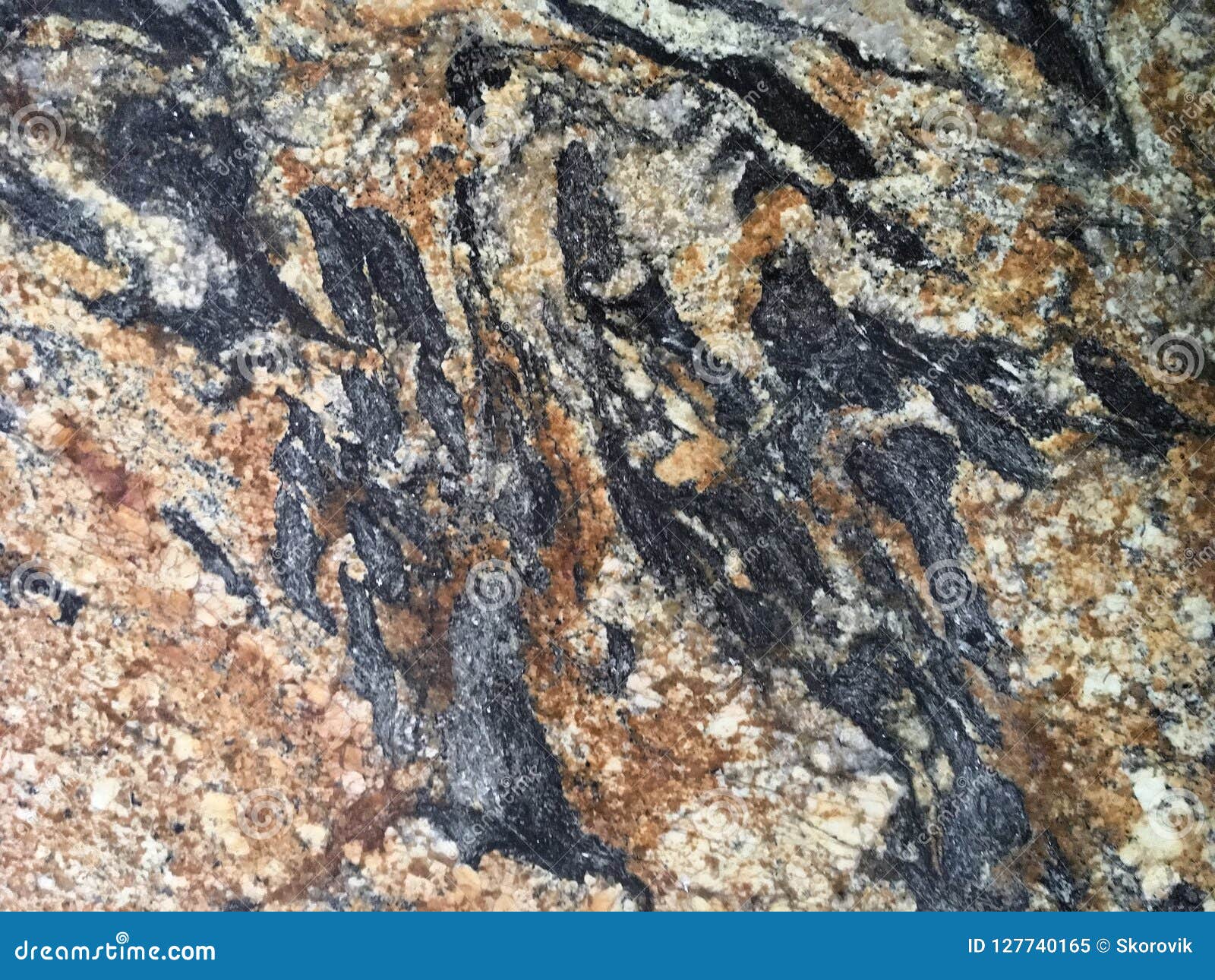 The Floor is Covered with Exotic Natural Stone. Granite. Marble ...