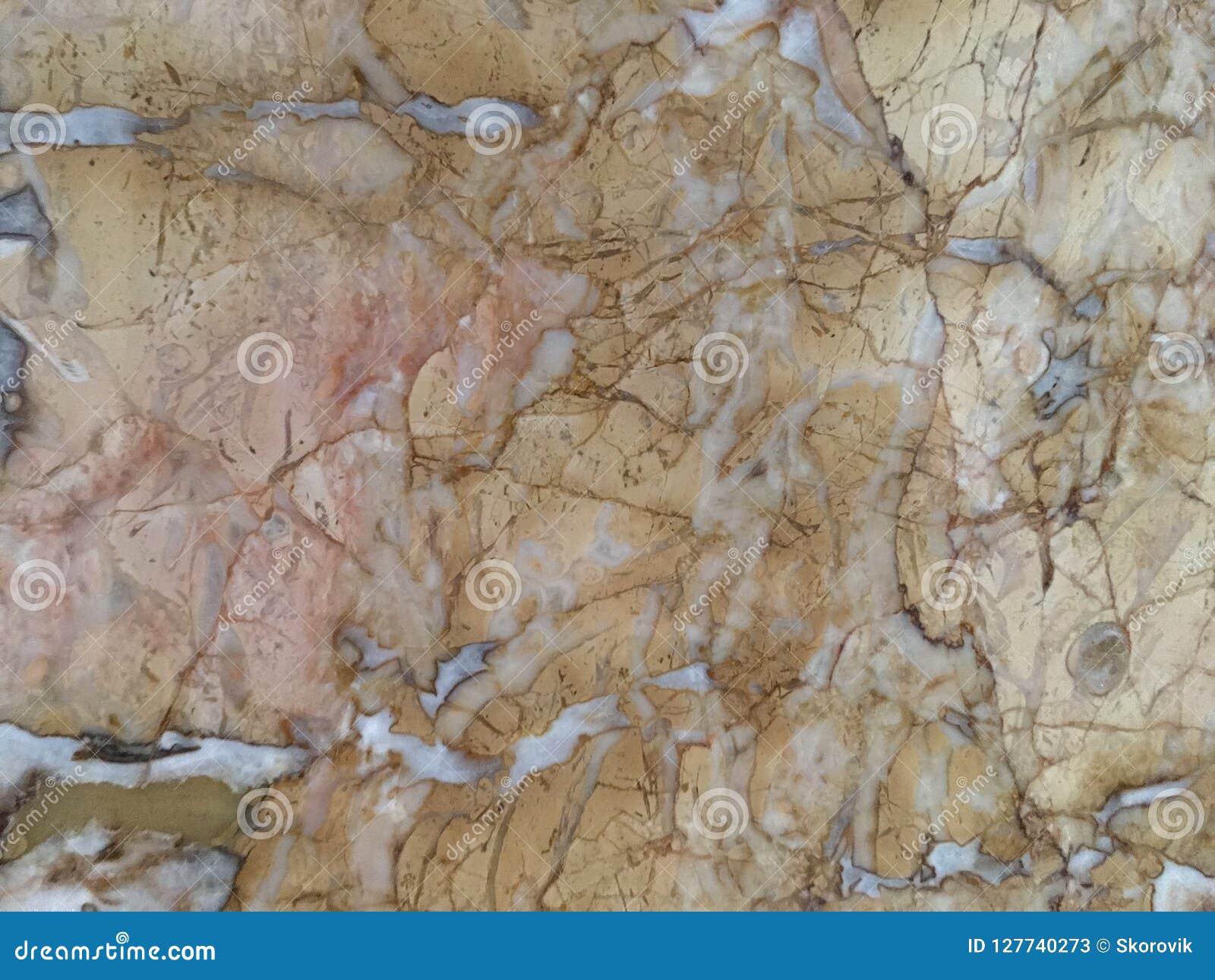 The Floor is Covered with Exotic Natural Stone. Granite. Marble ...