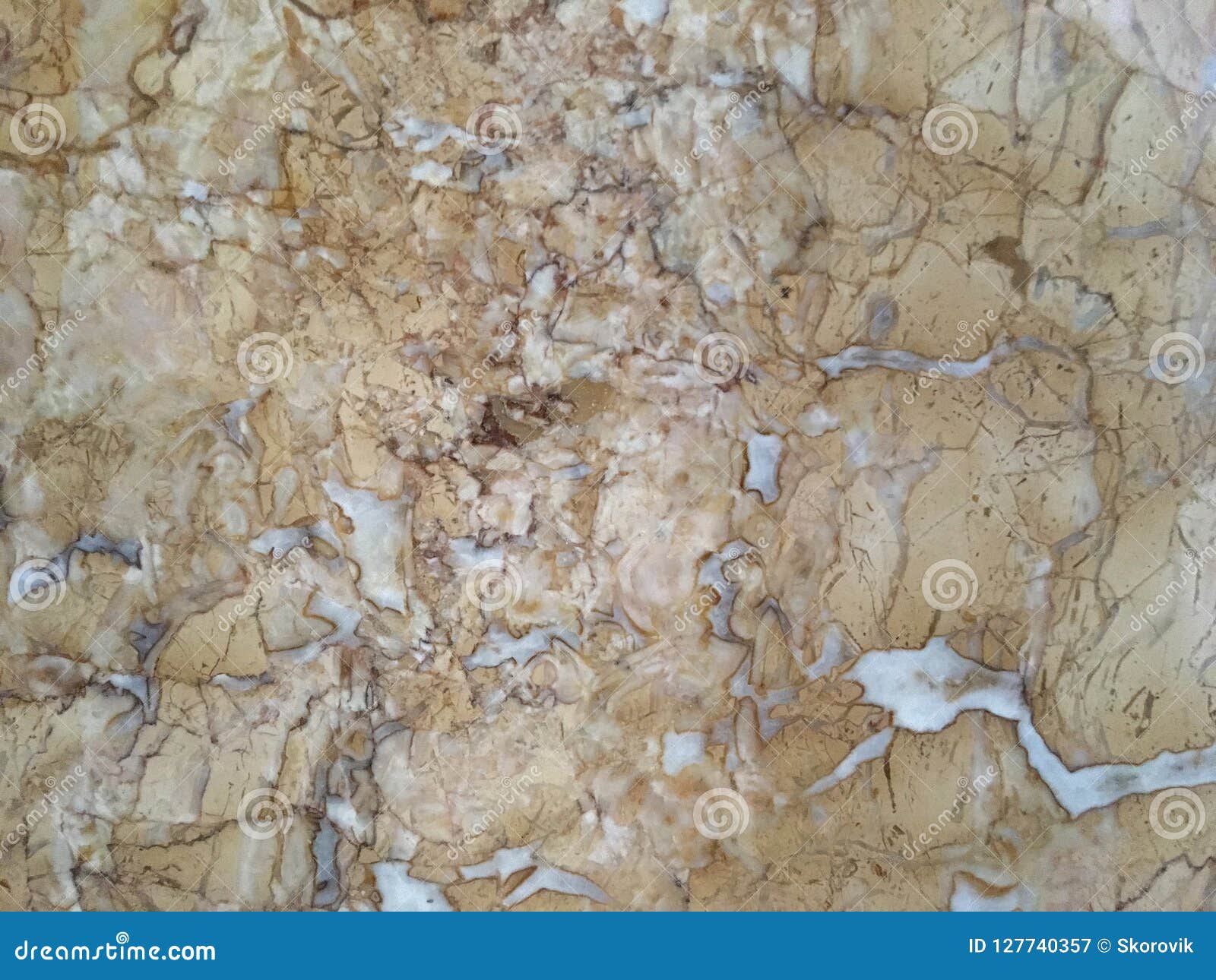 The Floor is Covered with Exotic Natural Stone. Granite. Marble ...