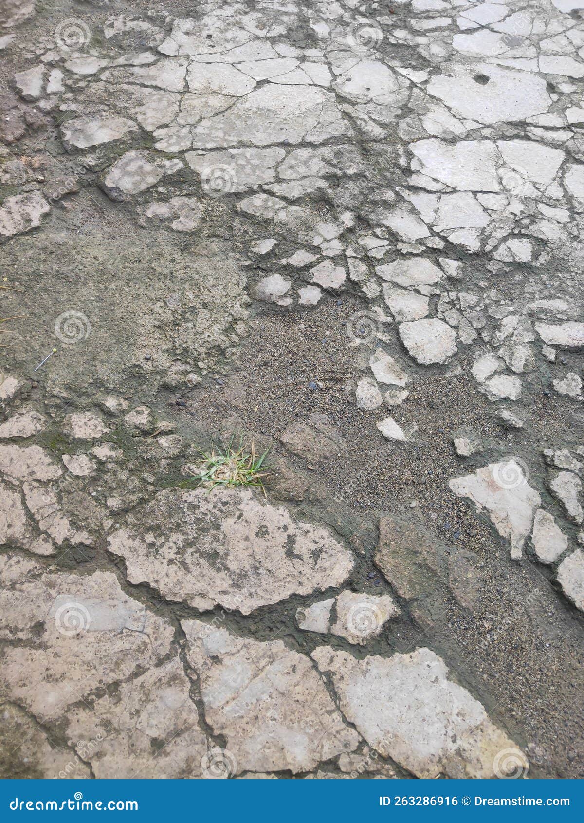 Floor Cracked Due To Nature and Corrosion Stock Photo - Image of nature ...