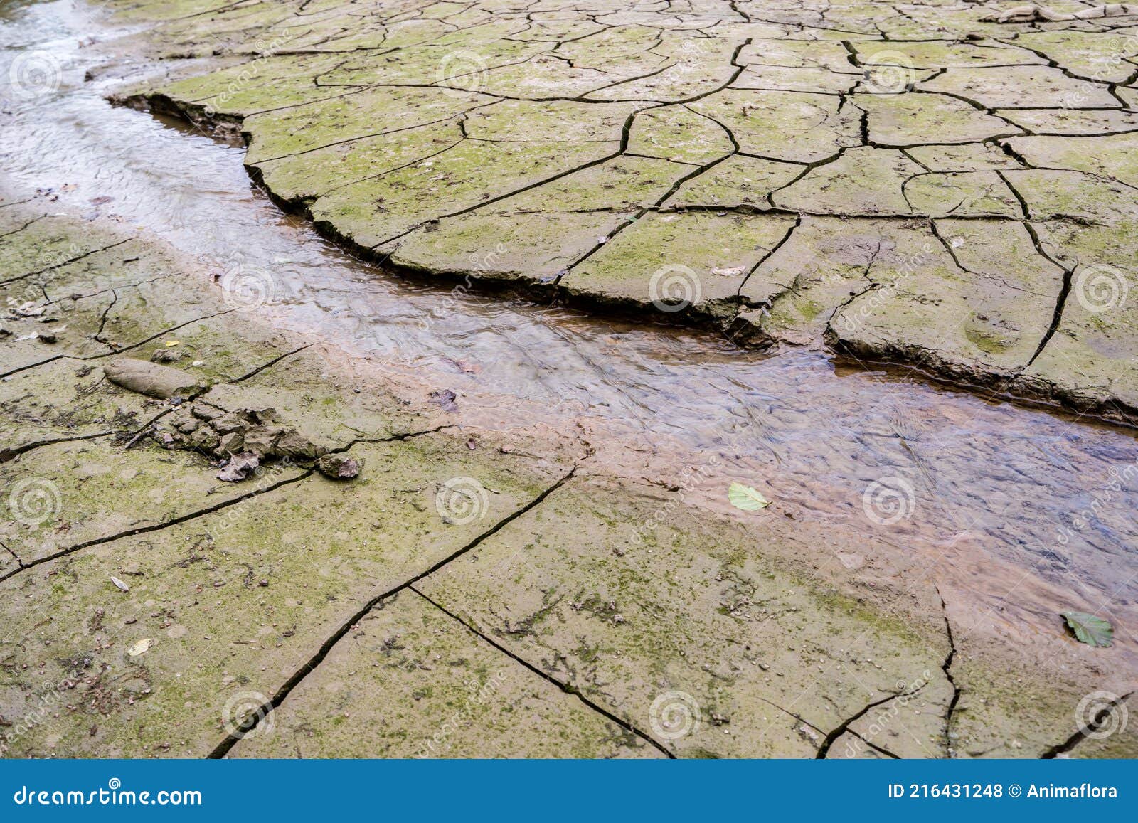 Floor Cracks with Brook Dryness Stock Photo - Image of drain, brook ...