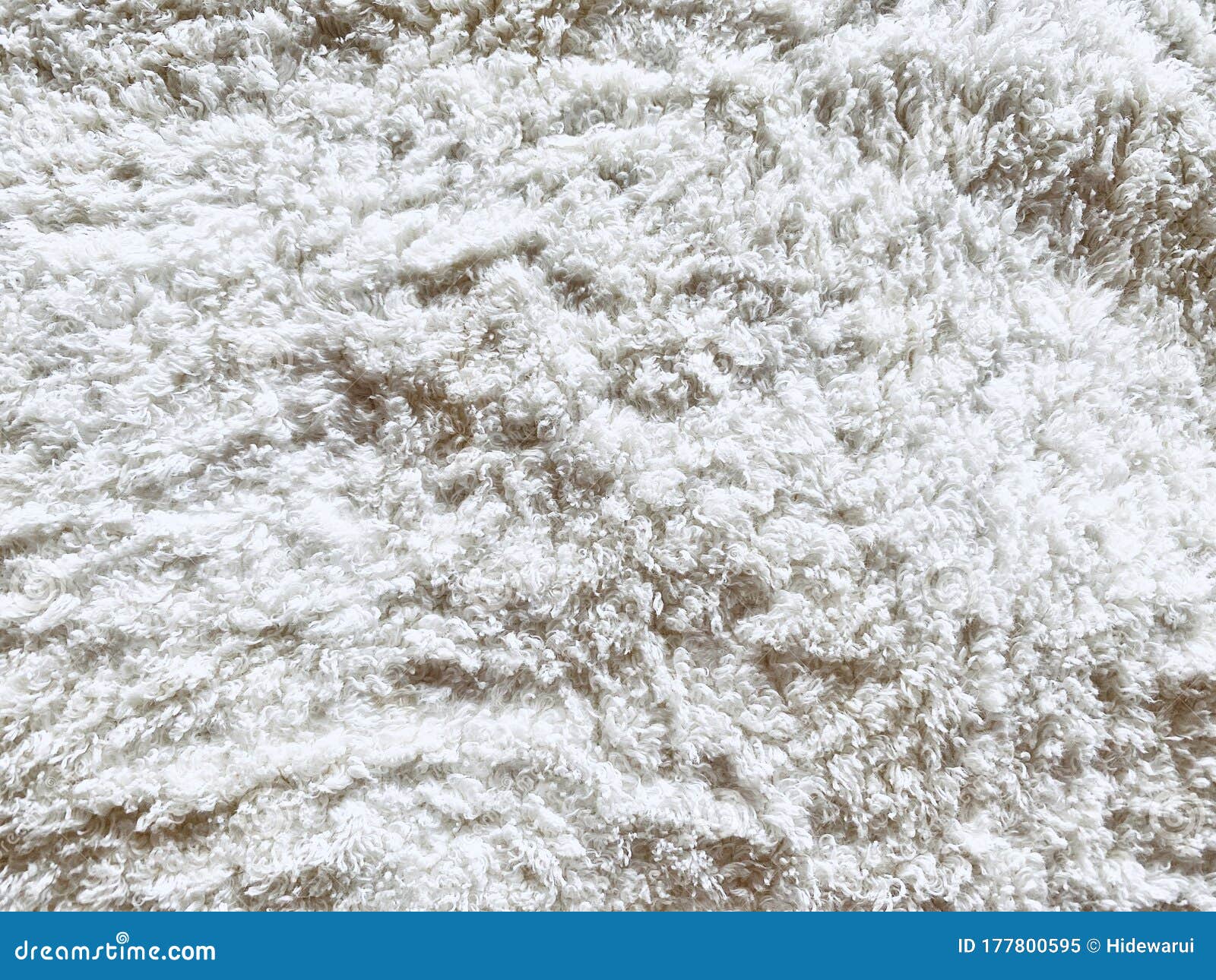 Floor. the Fluffy White Carpet Stock Image - Image of white, cute ...