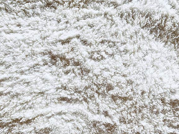 Floor. the Fluffy White Carpet Stock Image - Image of white, cute ...