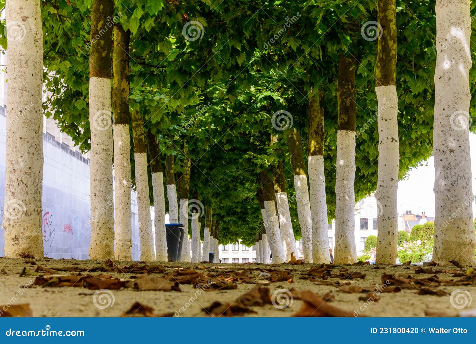 Floor Level View Of A Neat Compact Bathroom And WC Stock Photography ...