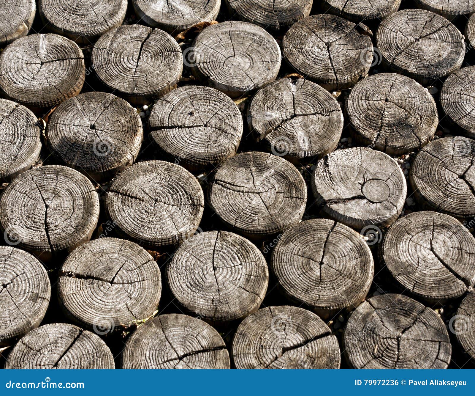 Floor made of circle logs. stock photo. Image of background - 79972236