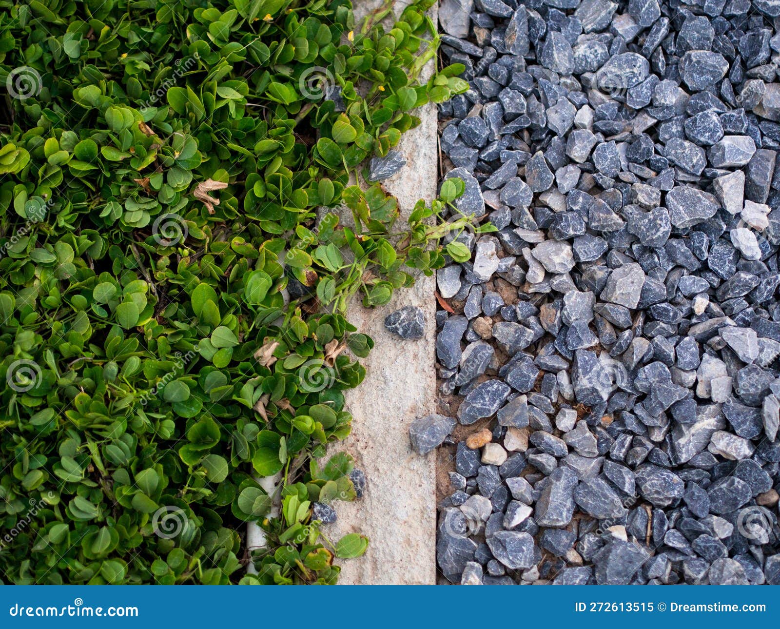 The Floor is Made of Stone and Grass Platform, Barrier with Concrete ...