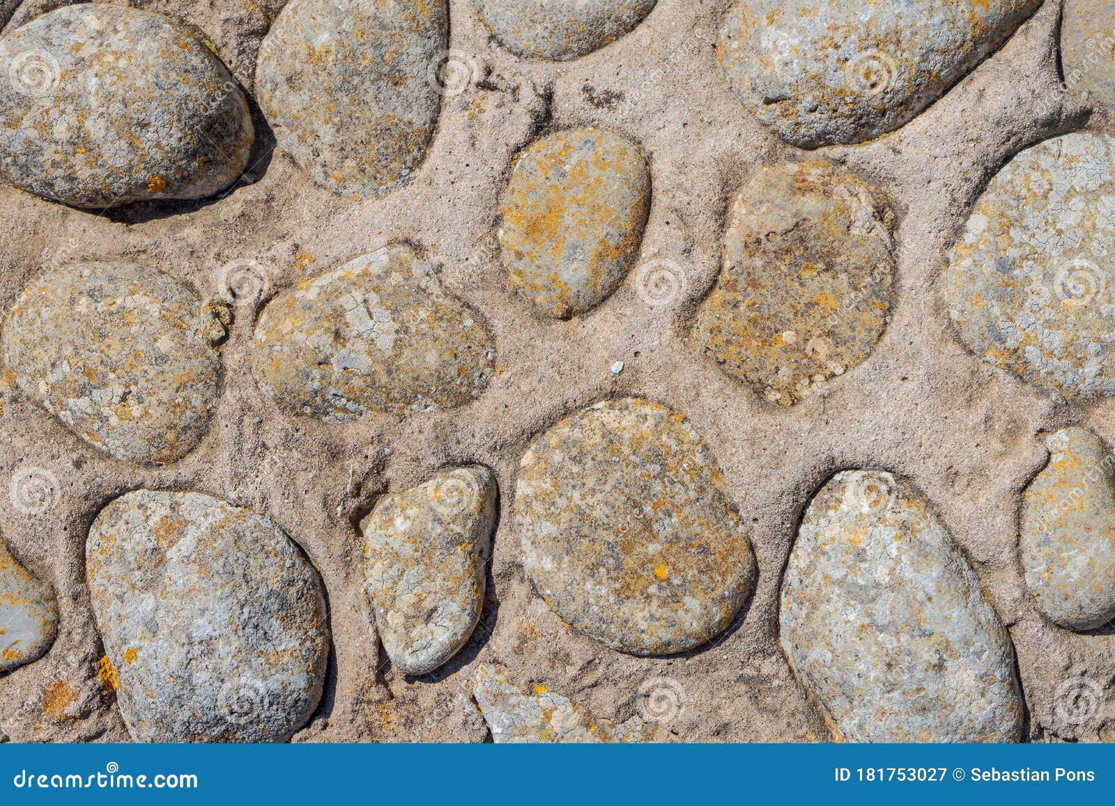 Floor Made Up of Tiles with Small Stones Embedded in Them, of Different ...