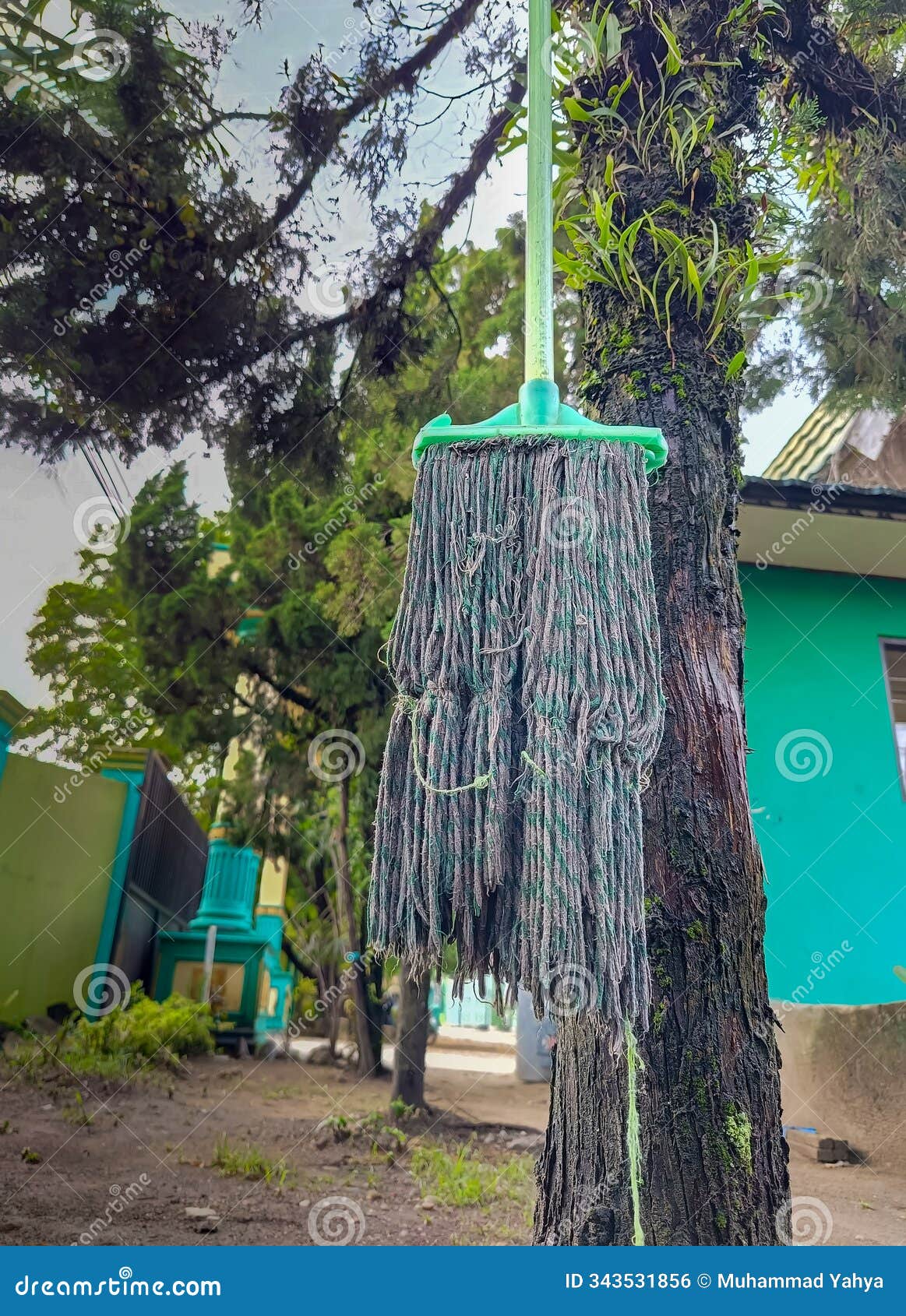 Floor Mop Hanging on a Tree Stock Photo - Image of tree, tool: 343531856