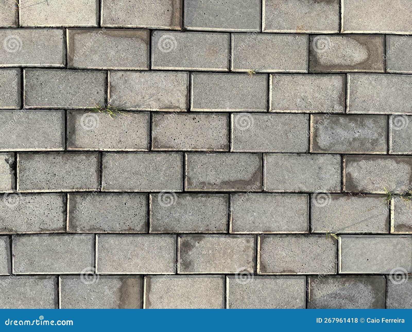 Floor of Rectangular Cement Stones Fitted Together. Stock Photo - Image ...