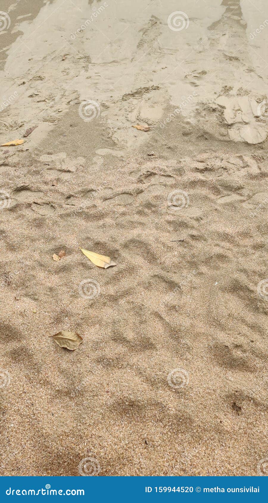 Floor sand on the beach stock photo. Image of floor - 159944520