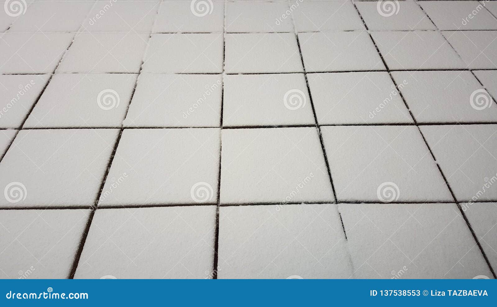 The floor slabs by snow. stock image. Image of beautiful - 137538553