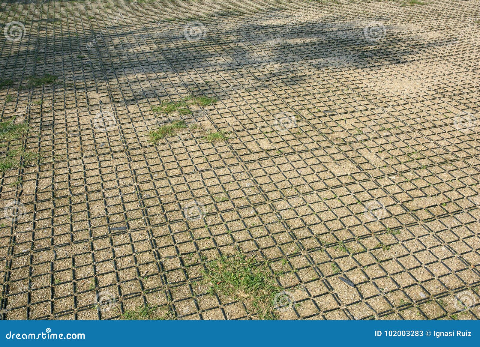 Squares Of Grass And Concrete - Modern Outdoor Pavement. Stock Photo ...