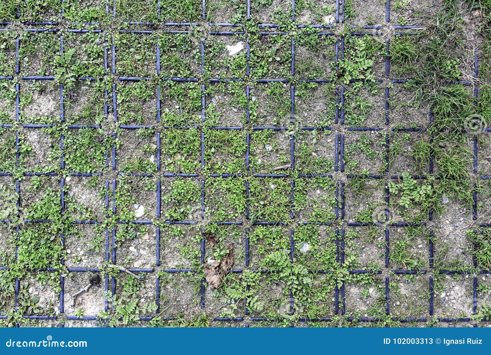 Squares Of Grass And Concrete - Modern Outdoor Pavement. Stock Photo ...