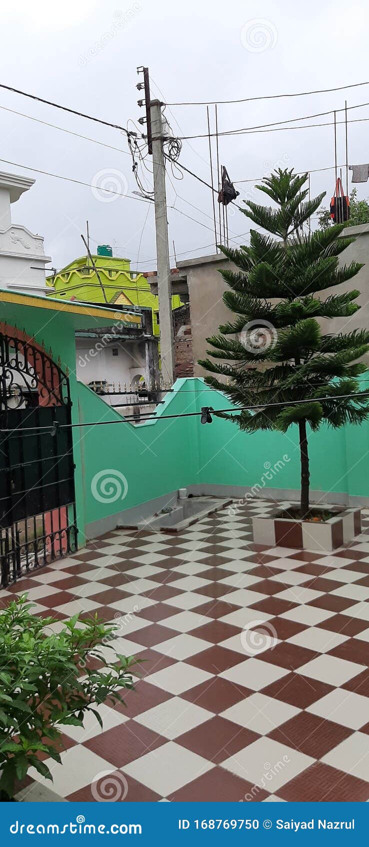 Floor Tails in home stock photo. Image of floor, tails - 168769750