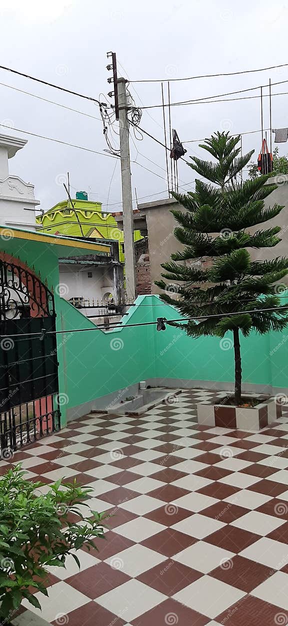 Floor Tails in home stock photo. Image of floor, tails - 168769750