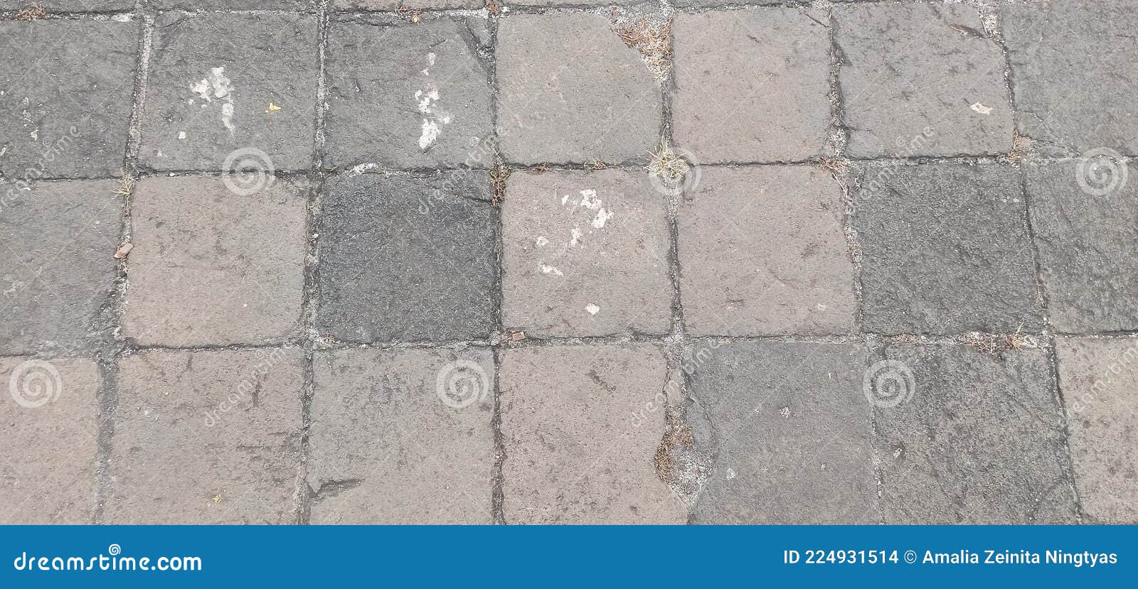 Floor Texture Trotoar Street Cemen Stock Photo - Image of texture ...