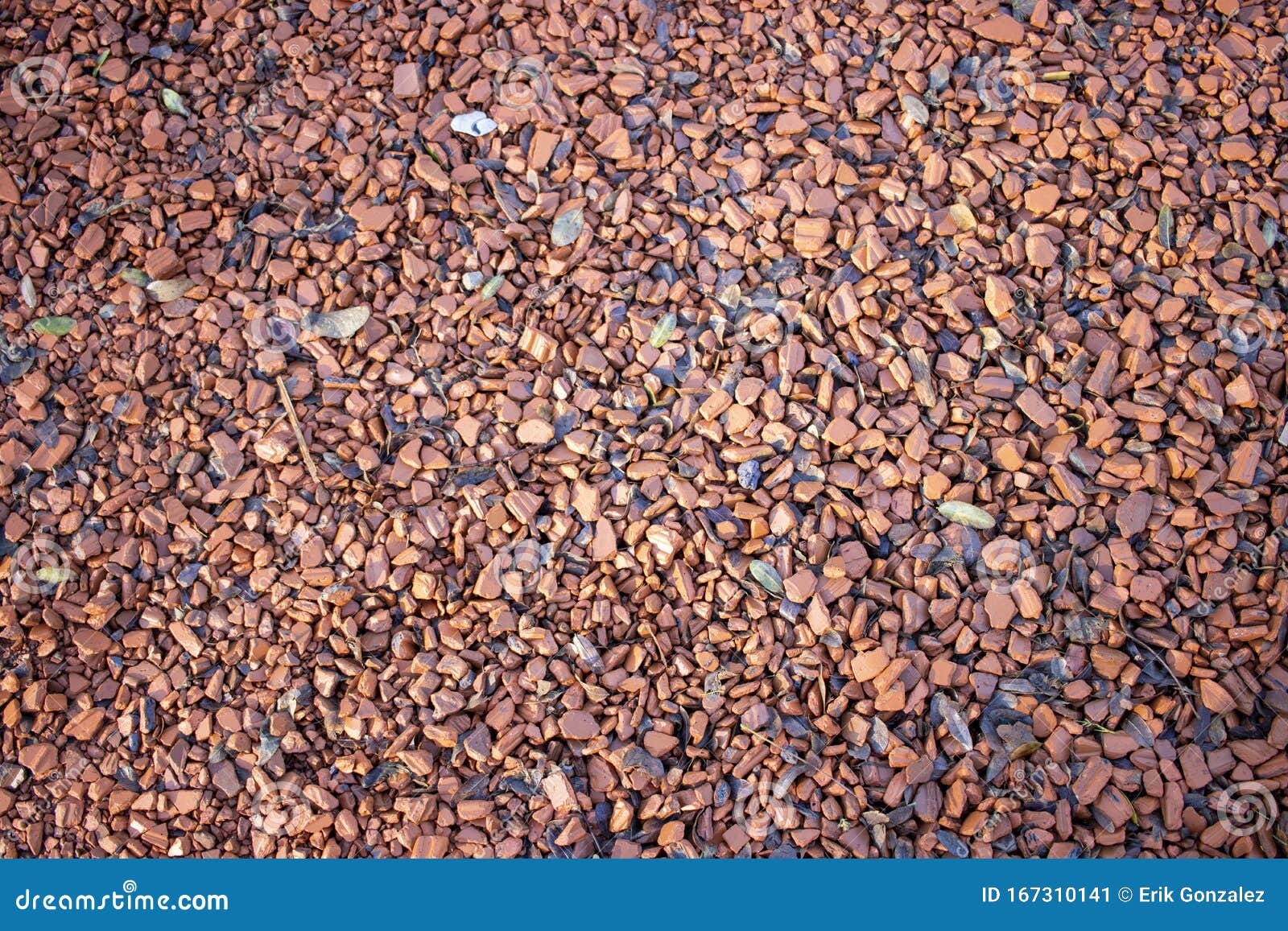 Floor Textures Wooden Ceramic. For 3ds Max, Blender, After Effect ...