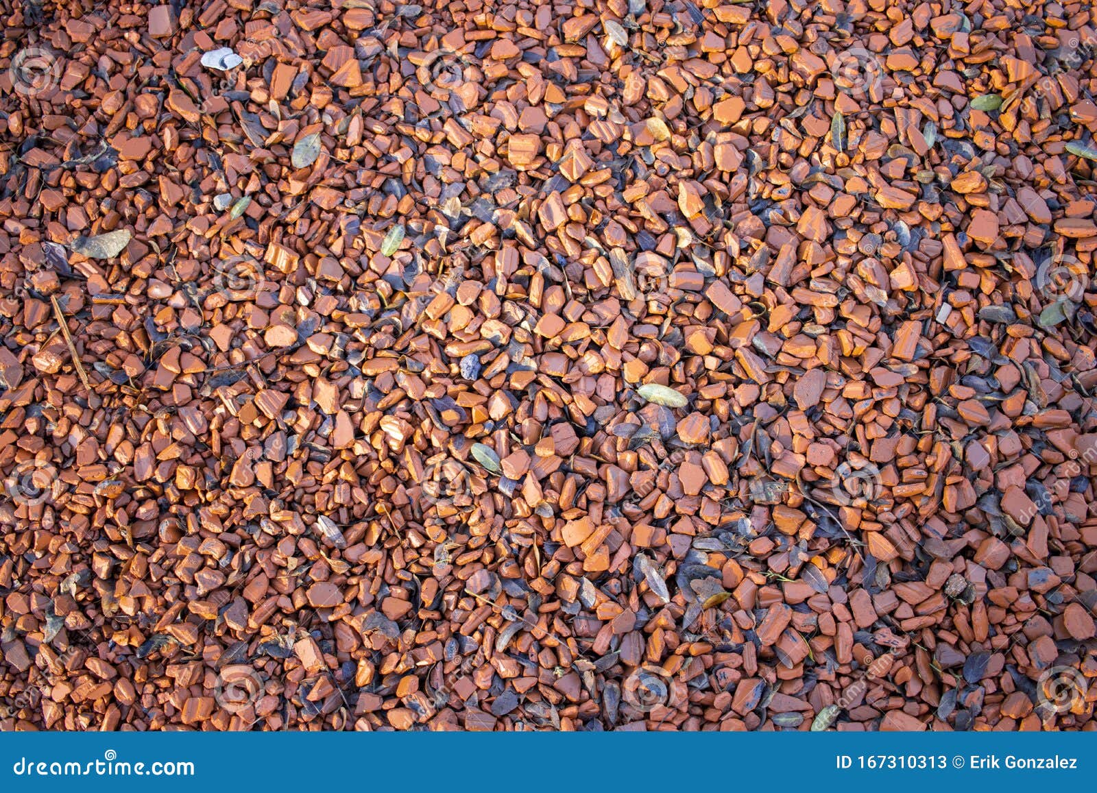 Floor Textures Wooden Ceramic. For 3ds Max, Blender, After Effect ...