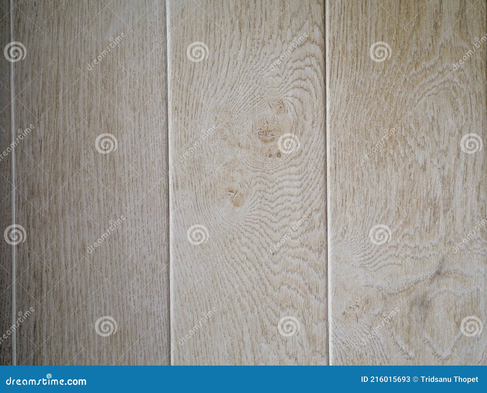 Floor Tile Texture Likely Wood Bark Stock Image - Image of light, clean ...