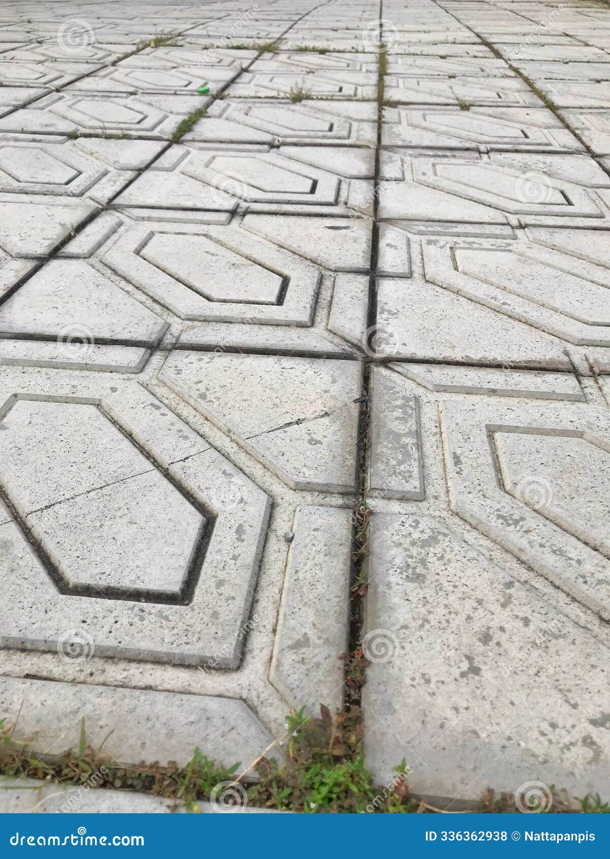 Floor Tiles Background, Pathway in the Garden Stock Photo - Image of ...