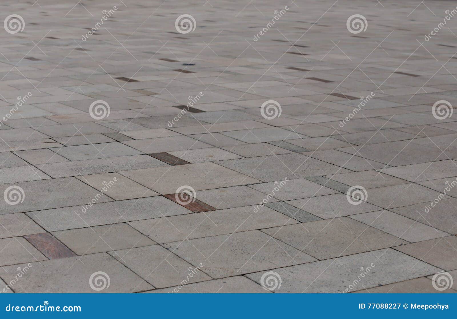 Floor walkway stone slabs. stock image. Image of background - 77088227