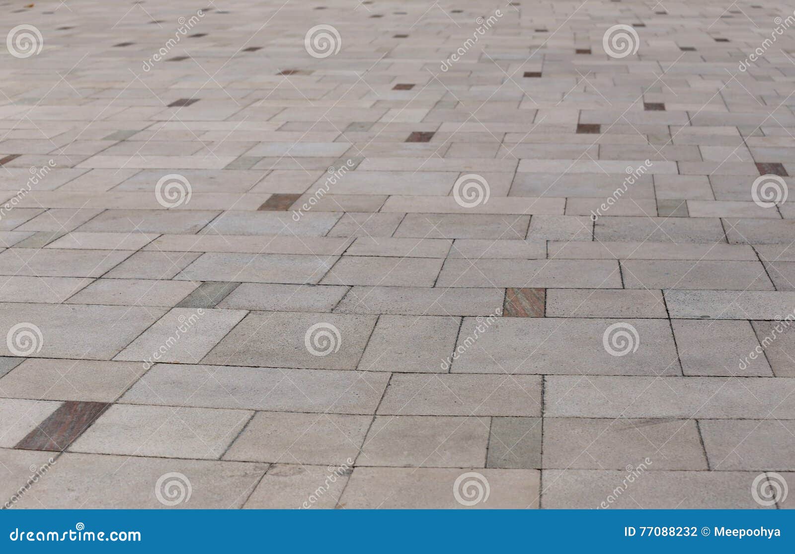 Floor walkway stone slabs. stock photo. Image of abstract - 77088232