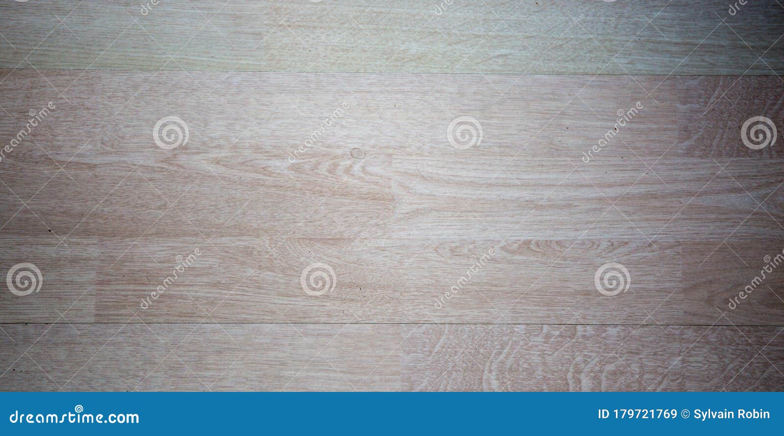Floor White Wood Texture Background Top View Wooden Plank Panel Design ...