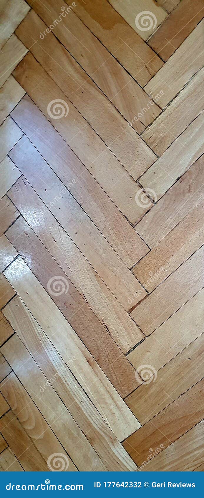 Floor wood patern stock photo. Image of woden, floor - 177642332