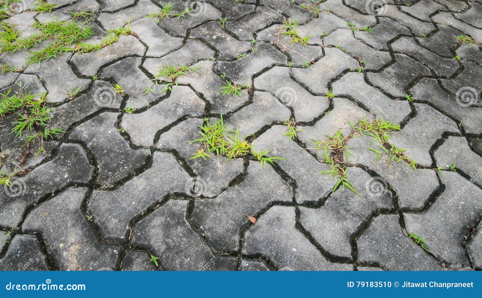 Flooring Worm Texture Background Stock Photo - Image of shape, surface ...