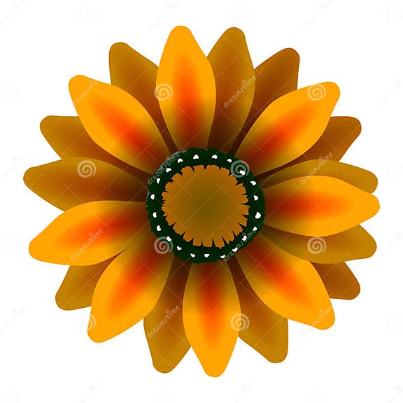 Flor coloreada aislada stock de ilustración. Ilustración de fresco ...