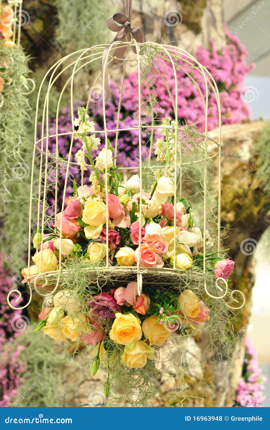Flor colorida na gaiola foto de stock. Imagem de delicado - 16963948