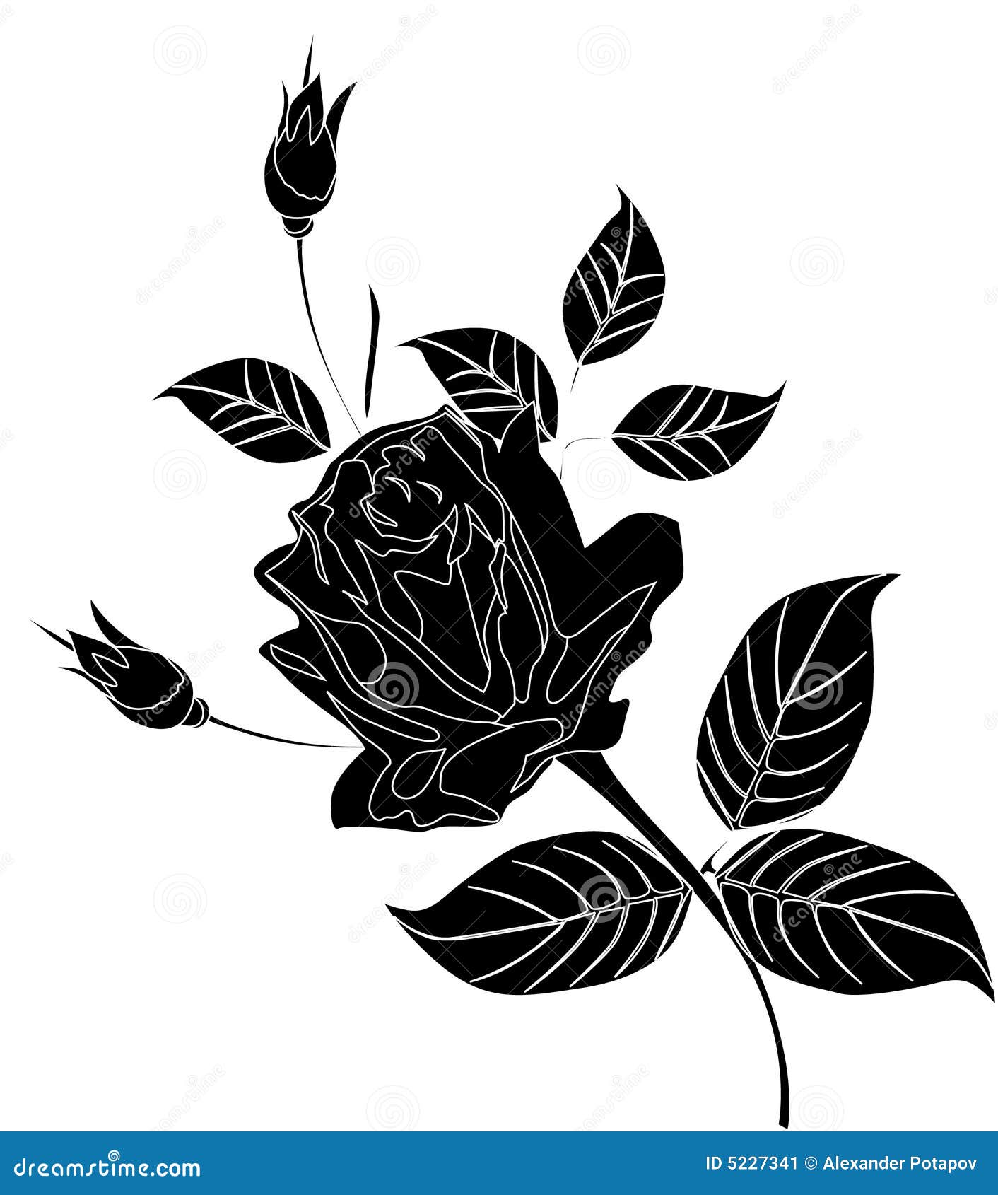 Flor Cor-de-rosa Preto E Branco Ilustração Stock - Ilustração de floral ...