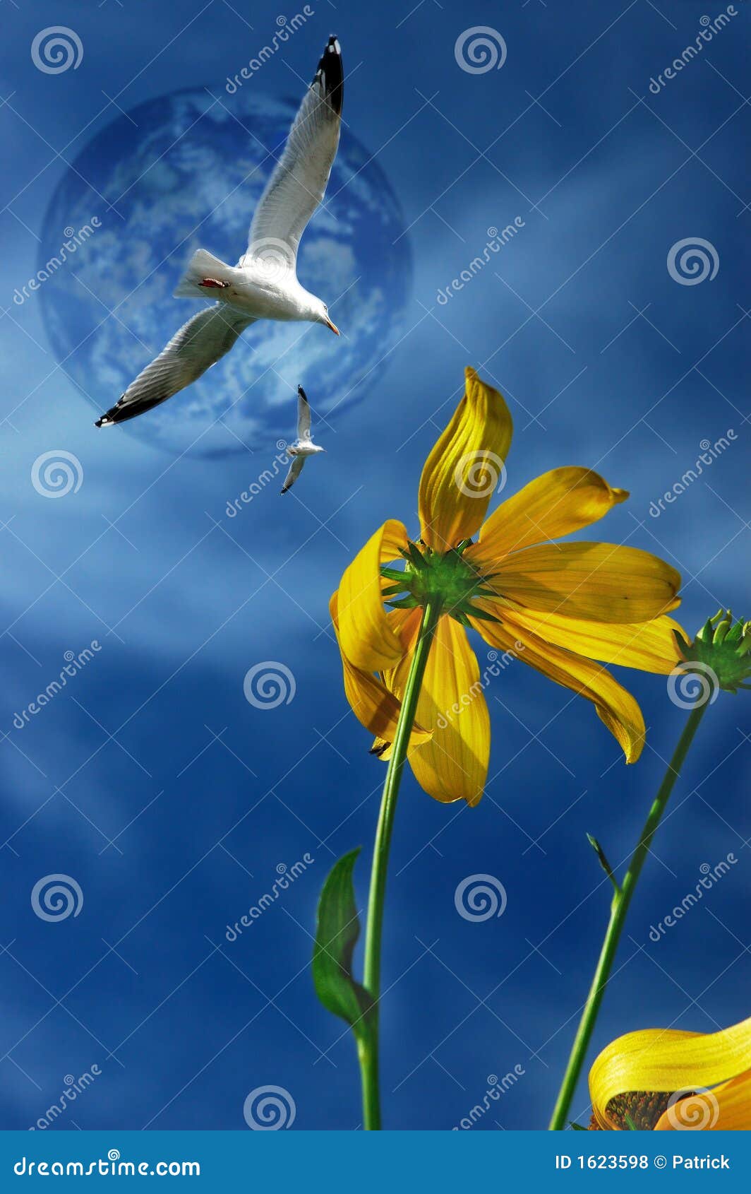 Flor da lua foto de stock. Imagem de nuvens, geometria - 1623598