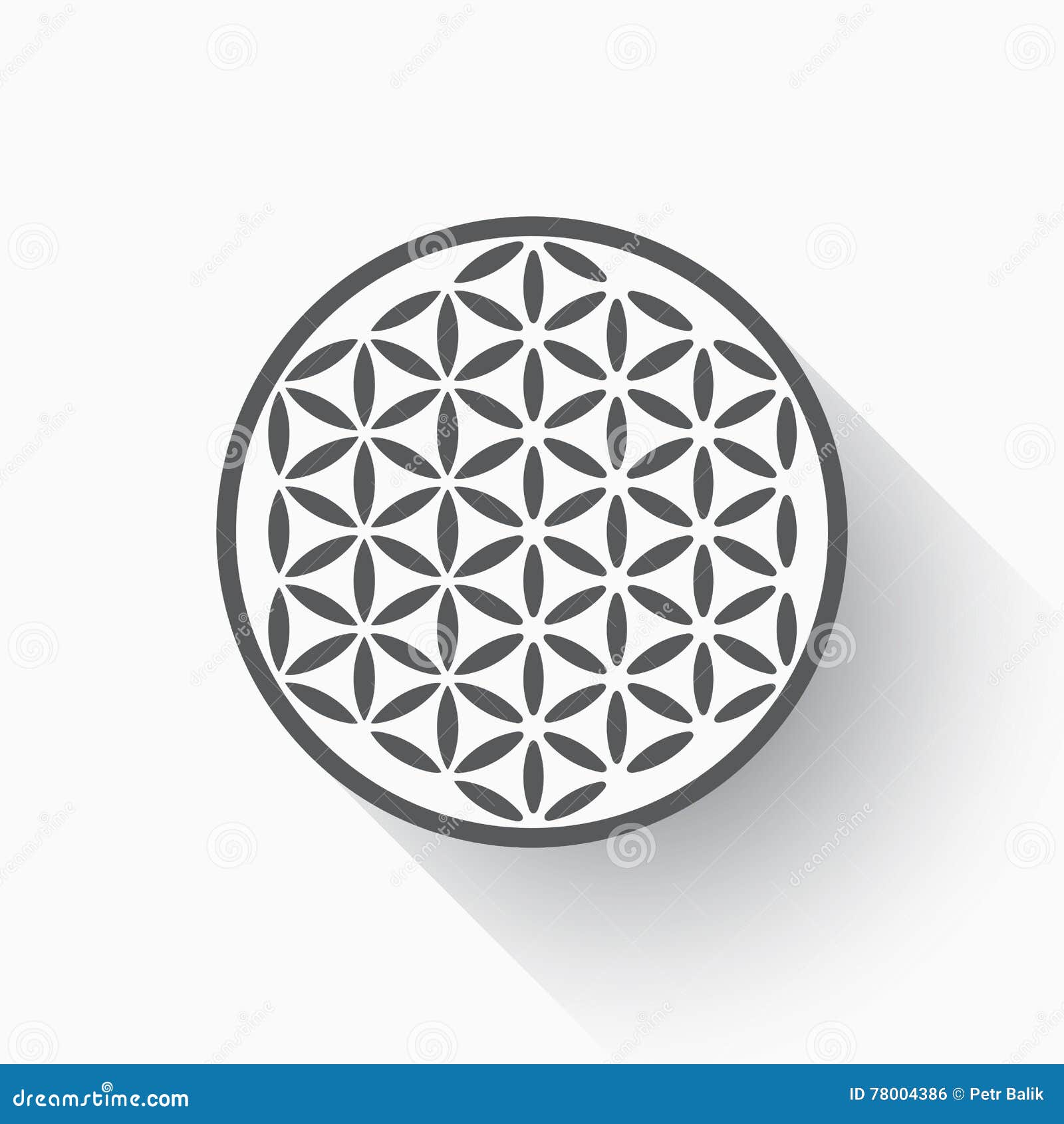 Flor da vida ilustração do vetor. Ilustração de homeopatia - 78004386