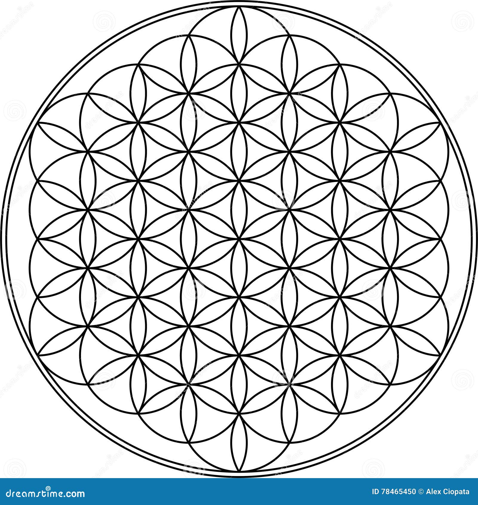 Flor da vida ilustração do vetor. Ilustração de ornamento - 78465450