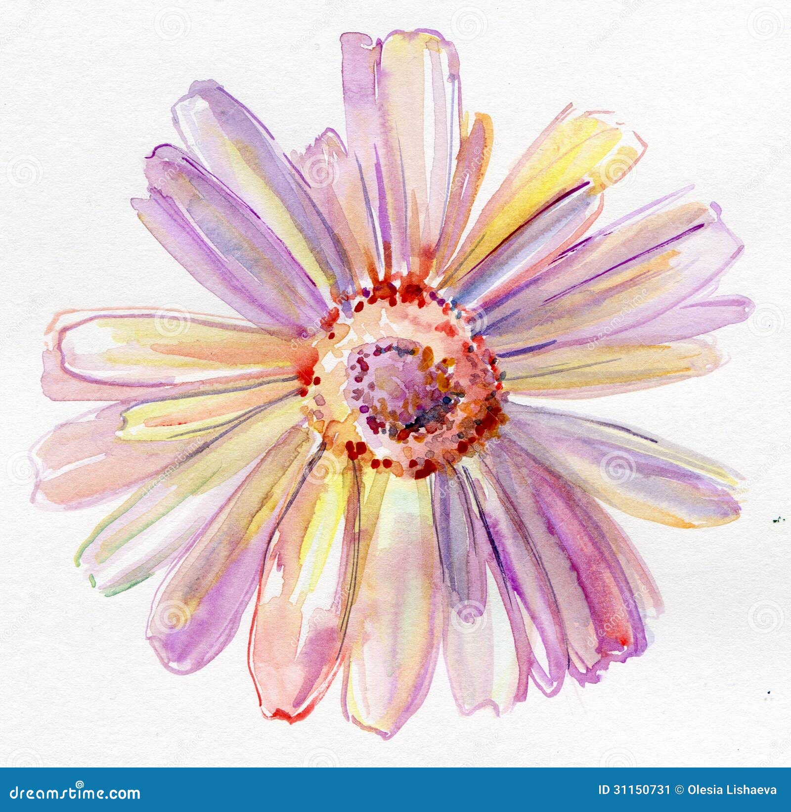 Flor de la acuarela stock de ilustración. Ilustración de pétalo - 31150731