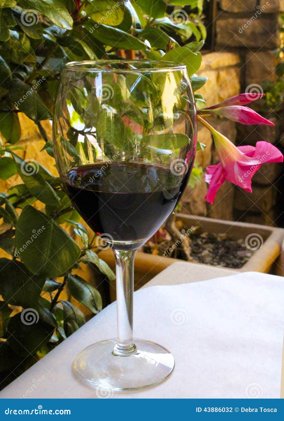 Flor de la copa de vino foto de archivo. Imagen de flor - 43886032
