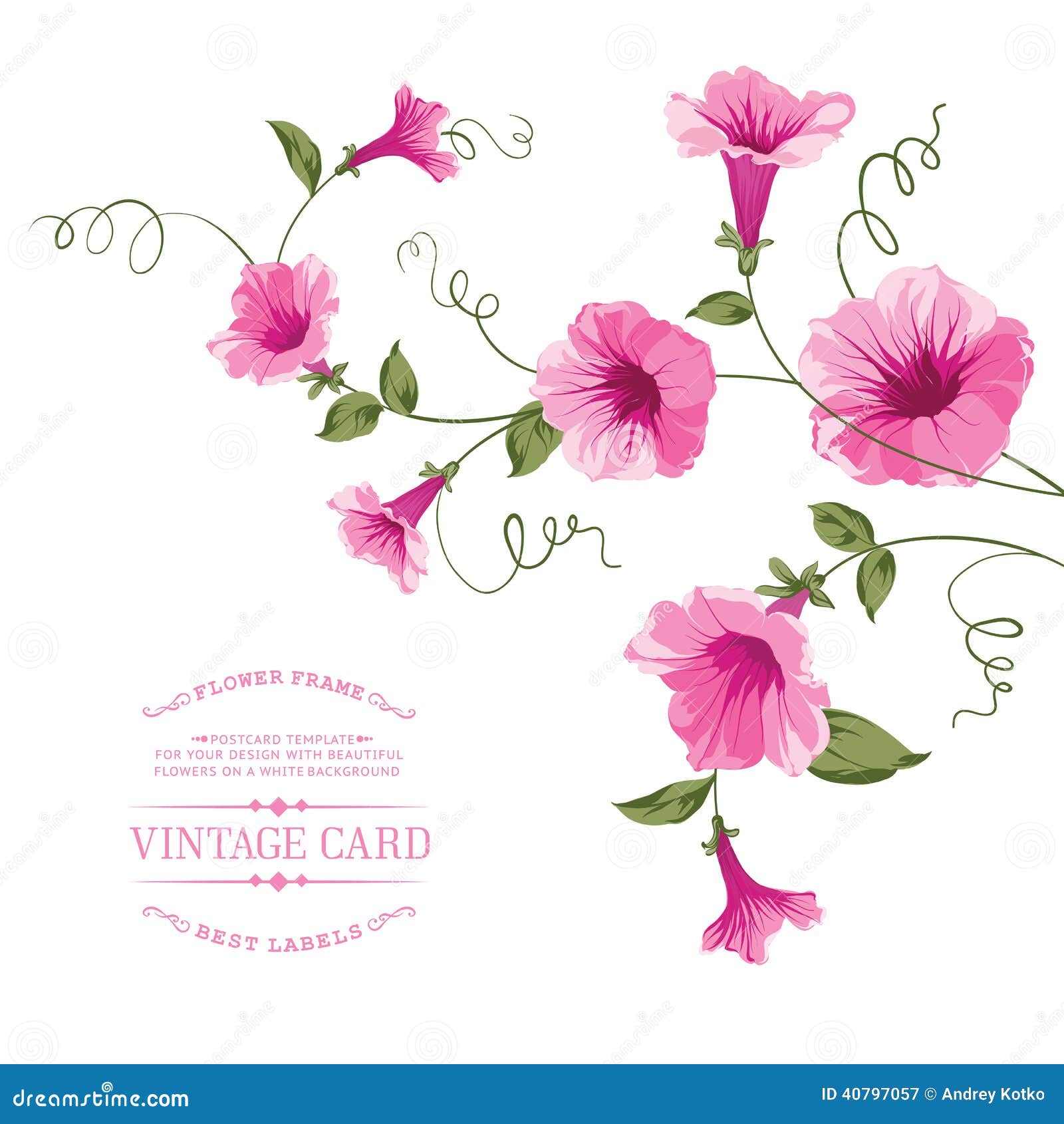 Flor De La Enredadera En El Papel Ilustración del Vector - Ilustración ...