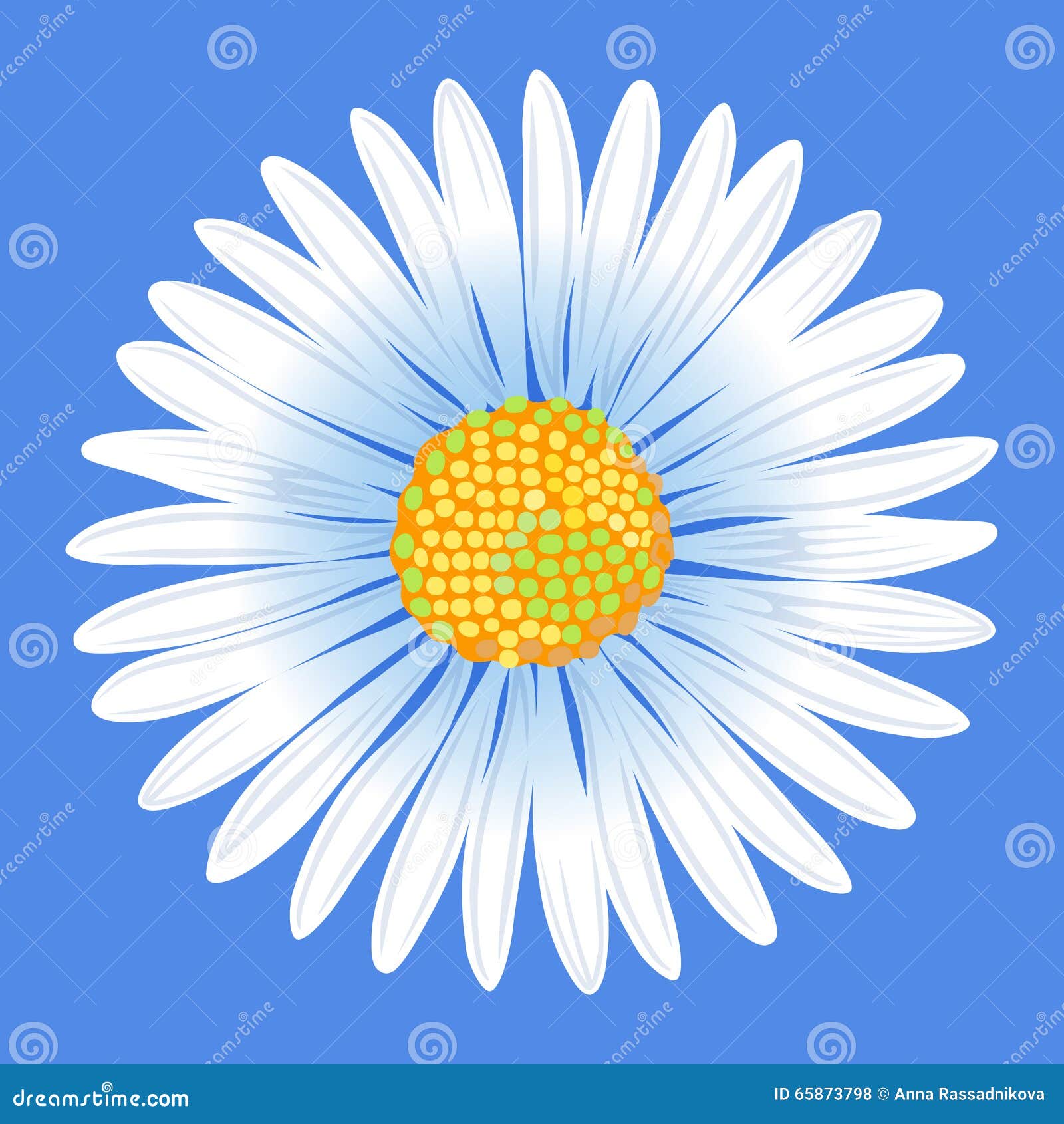 Flor de la manzanilla ilustración del vector. Ilustración de hierba ...