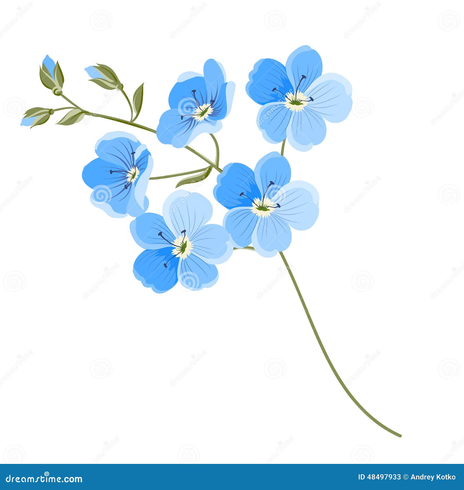 Flor de linho ilustração do vetor. Ilustração de flora - 48497933