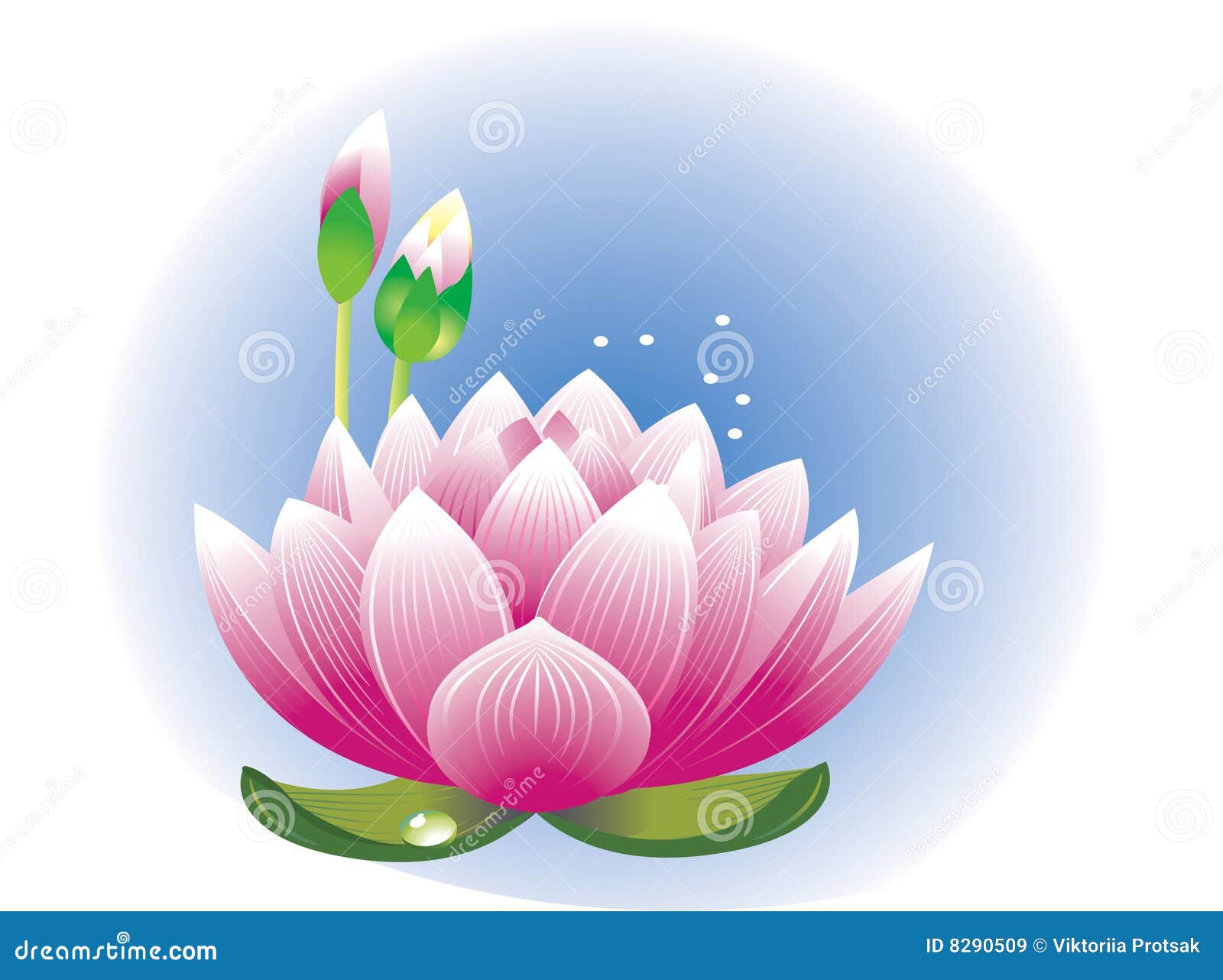 Flor de loto ilustración del vector. Ilustración de gota - 8290509