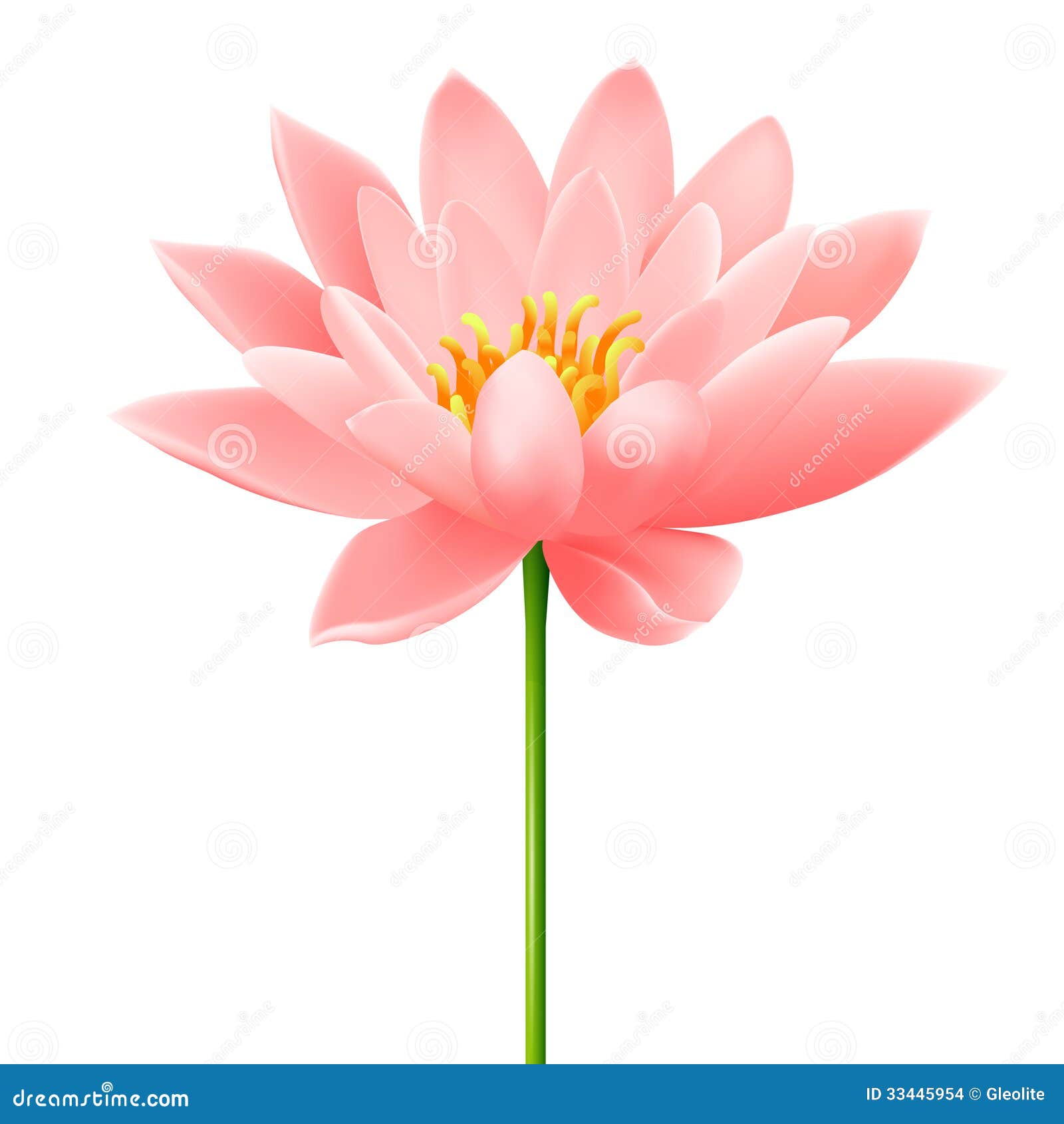Flor de Lotus ilustração do vetor. Ilustração de isolado - 33445954