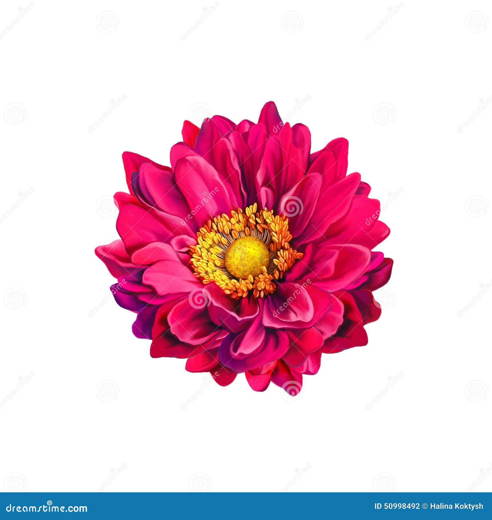 Flor De Mona Lisa Colorful Spring Foto de Stock - Imagem de fresco ...