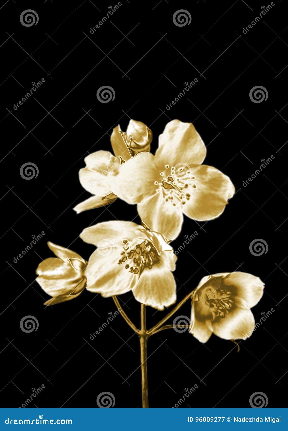 Flor de oro hermosa imagen de archivo. Imagen de rosa - 96009277